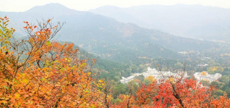 Beijing: The Top 20 Must-See Attractions & Things To Do